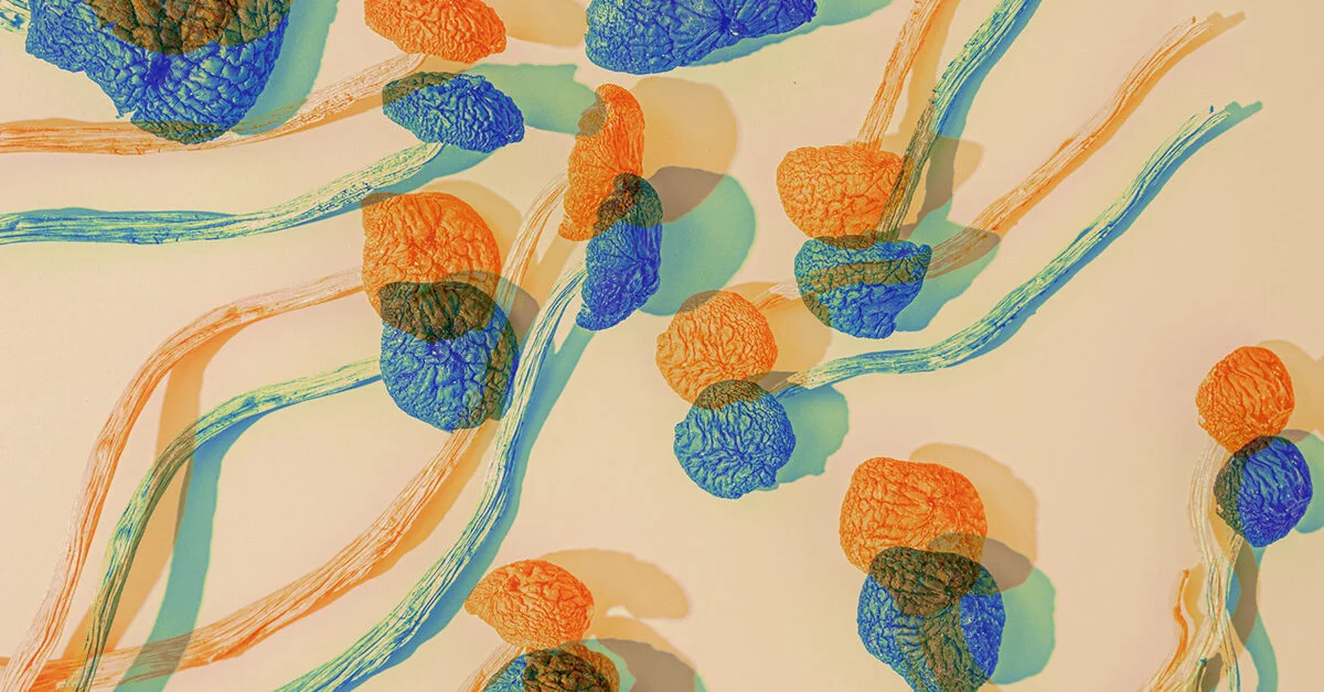 2020 Important Updates - Bud Hub Express