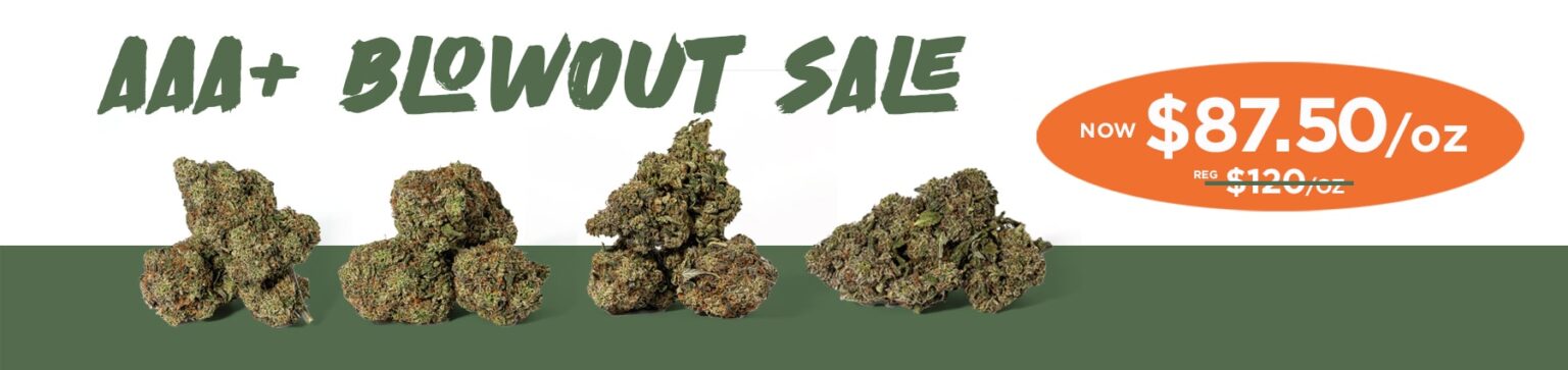 Bud Hub Express - Canada's #1 Online Cannabis Retailer