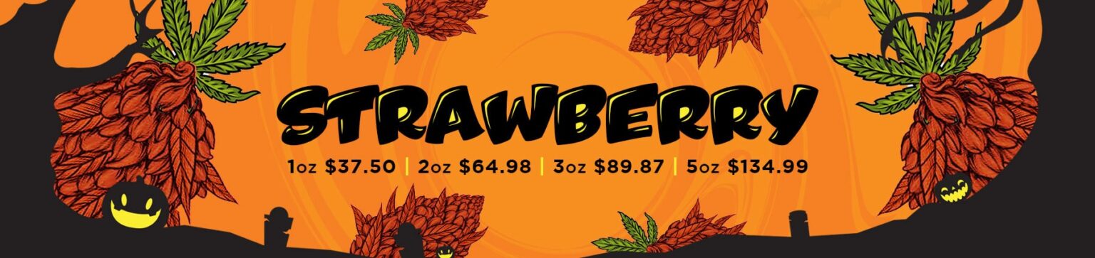 Bud Hub Express - Canada's #1 Online Cannabis Retailer